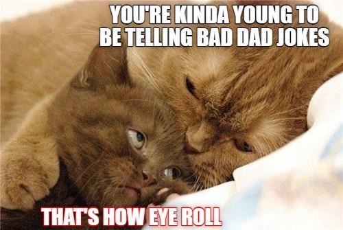 How eye roll - Lolcats - lol | cat memes | funny cats | funny cat ...