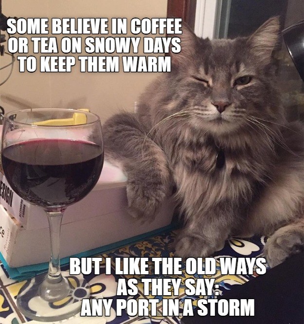 Winter weather - Lolcats - lol | cat memes | funny cats | funny cat ...