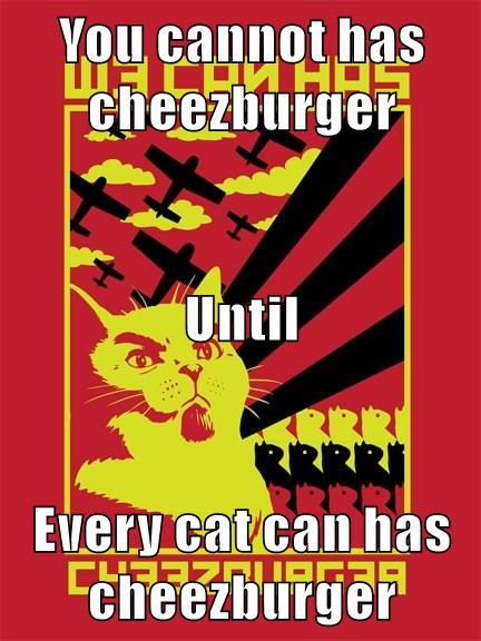 Has Cheezburger - Lolcats - lol | cat memes | funny cats | funny cat ...