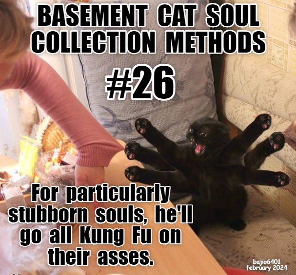Basement cat soul collection methods #26 - Lolcats - lol | cat memes ...