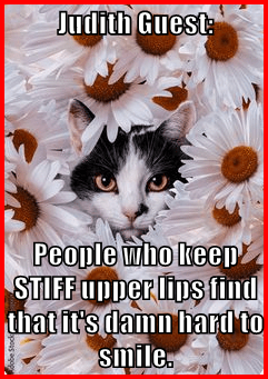 Judith Guest - Lolcats - lol | cat memes | funny cats | funny cat ...