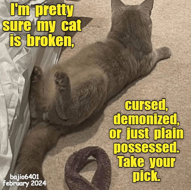 Broken - Lolcats - lol | cat memes | funny cats | funny cat pictures ...