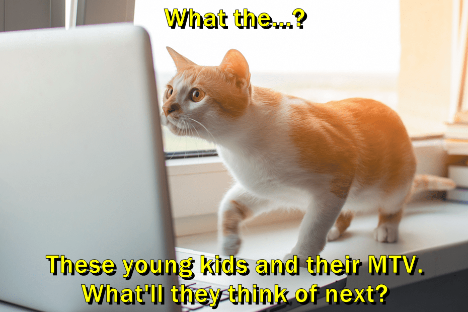 What the...? - Lolcats - lol | cat memes | funny cats | funny cat ...