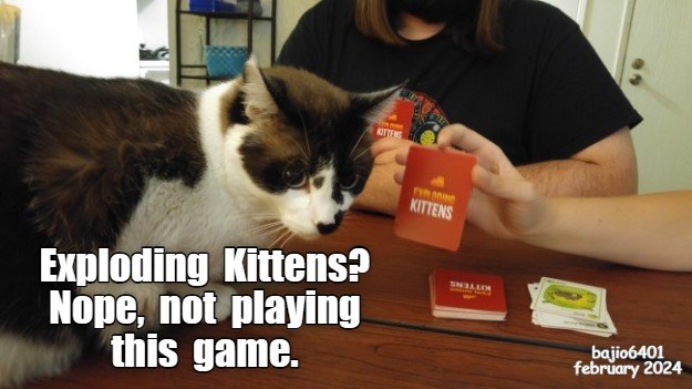 Heck nah - Lolcats - lol | cat memes | funny cats | funny cat pictures ...