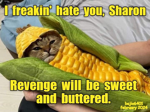 Mmm delicious - Lolcats - lol | cat memes | funny cats | funny cat ...
