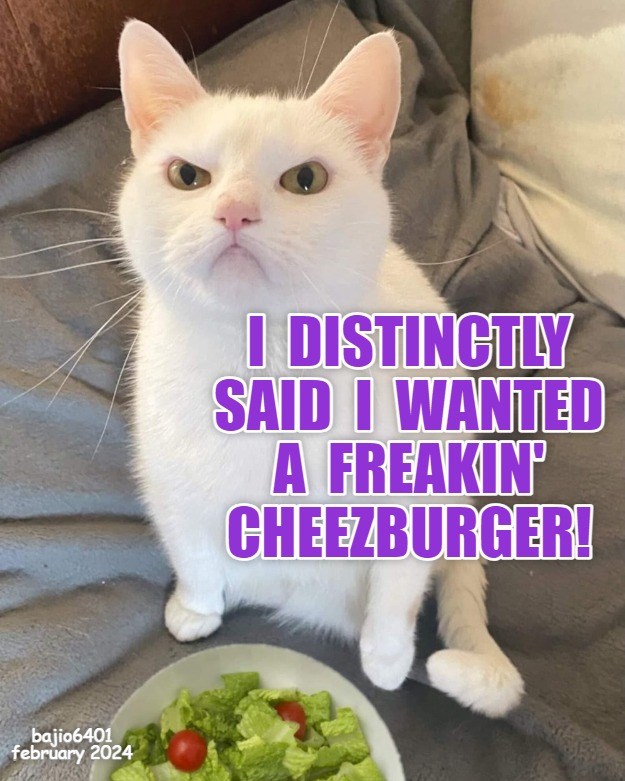 IMustHasCheezburger - Lolcats - lol | cat memes | funny cats | funny ...