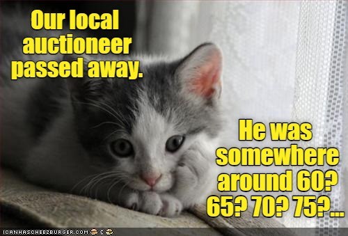 Going. Going. Gone. - Lolcats - lol | cat memes | funny cats | funny ...