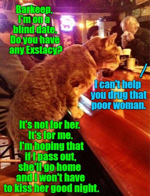 Exit strategy - Lolcats - lol | cat memes | funny cats | funny cat ...