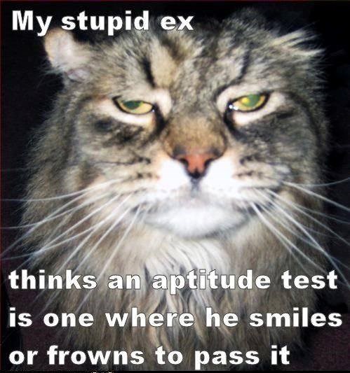 He failed - Lolcats - lol | cat memes | funny cats | funny cat pictures ...