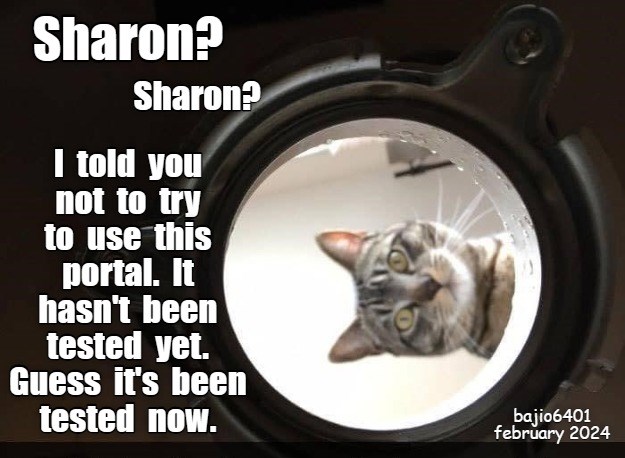 Portal - Lolcats - lol | cat memes | funny cats | funny cat pictures ...