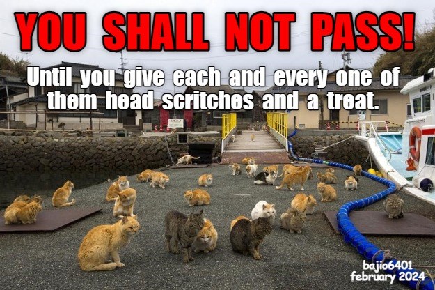 A fate we'd be happy to submit ourselves to - Lolcats - lol | cat memes ...