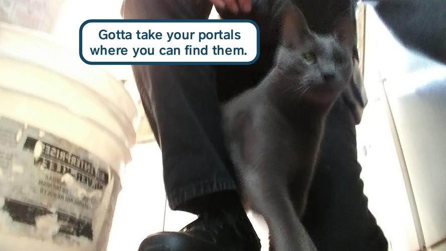 Portal cat - Lolcats - lol | cat memes | funny cats | funny cat ...