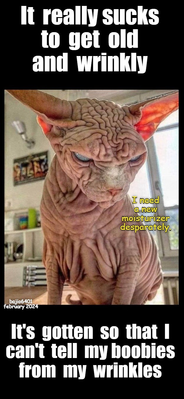 Getting old - Lolcats - lol | cat memes | funny cats | funny cat ...