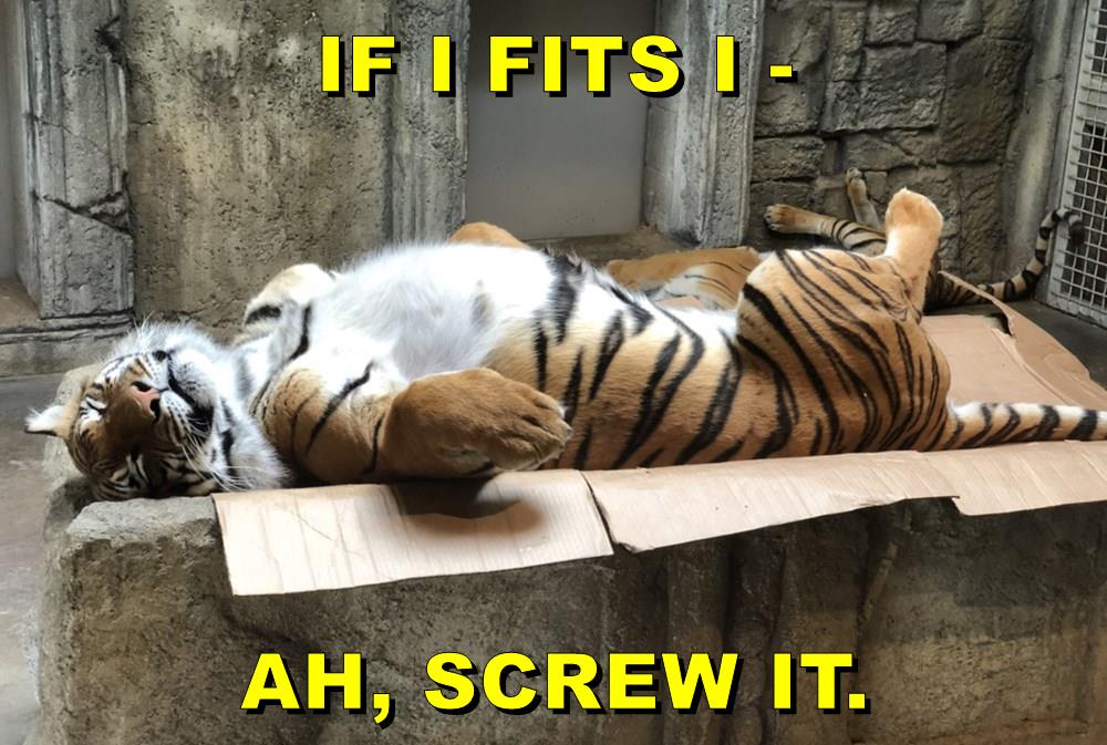 Cheezburger - I Can Has Cheezburger | Failblog | Memebase | All In One ...
