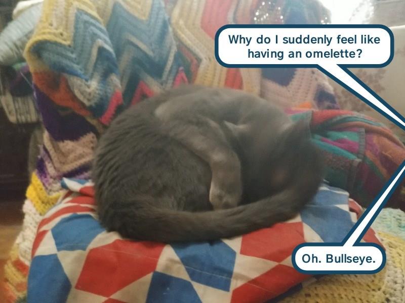 Bullseye - Lolcats - lol | cat memes | funny cats | funny cat pictures ...