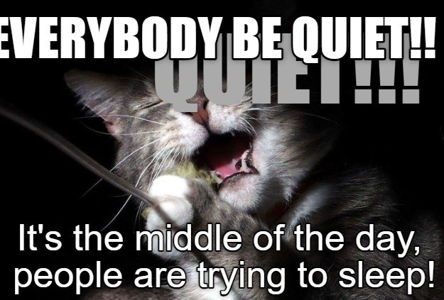 Be quiet! - Lolcats - lol | cat memes | funny cats | funny cat pictures ...
