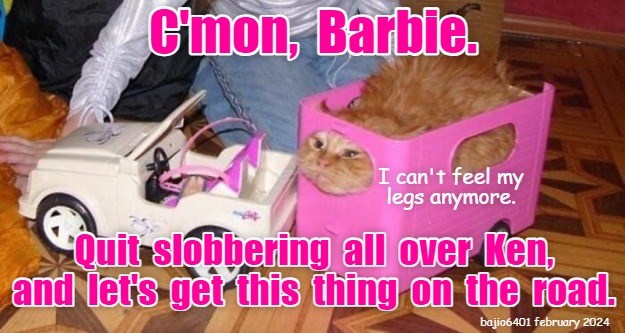 C'mon, Barbie - Lolcats - lol | cat memes | funny cats | funny cat ...