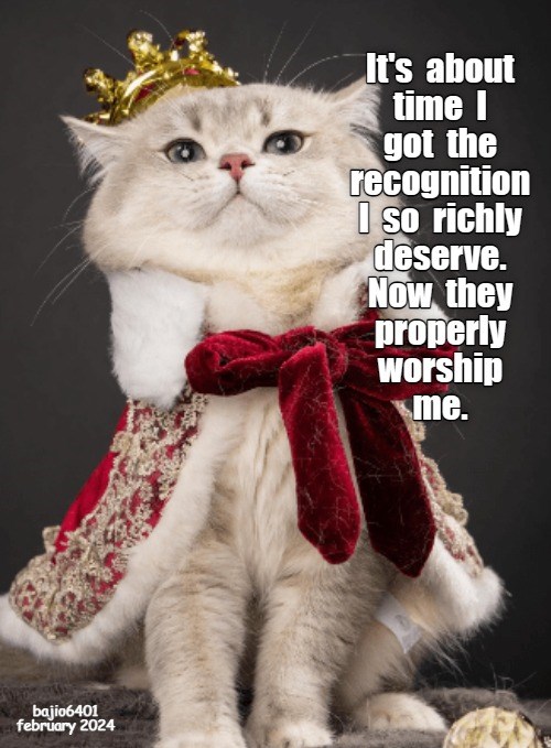 It's about time. - Lolcats - lol | cat memes | funny cats | funny cat ...