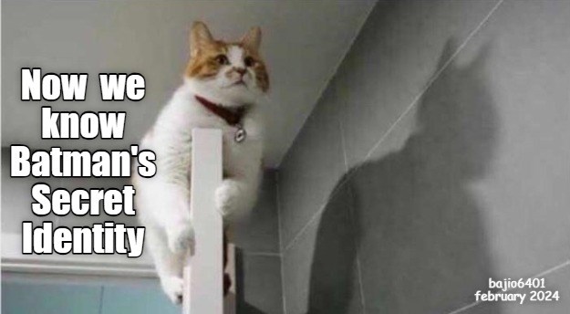 Batman - Lolcats - lol | cat memes | funny cats | funny cat pictures ...