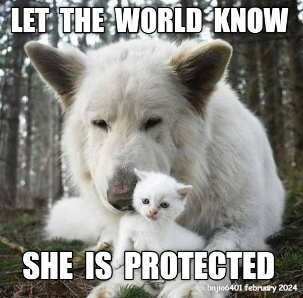 Family comes in all shapes and sizes - Lolcats - lol | cat memes ...