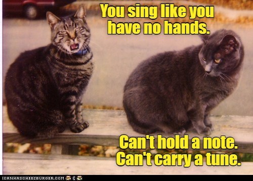 Everyone's a critic - Lolcats - lol | cat memes | funny cats | funny ...