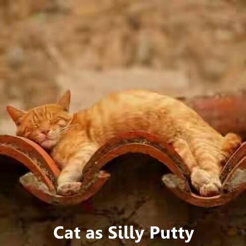 Silly Putty - Lolcats - lol | cat memes | funny cats | funny cat ...