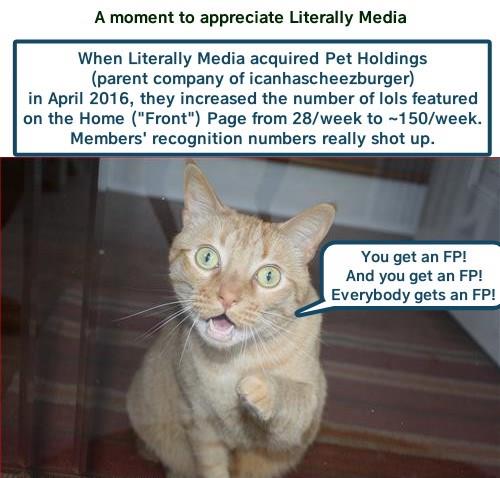 Big thank you to our ameowzing Lolcat creators! - Lolcats - lol | cat memes | funny cats | funny ...