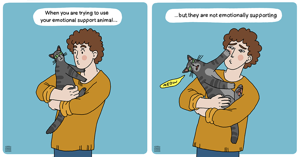 Emotional Support Animal - I Can Has Cheezburger?