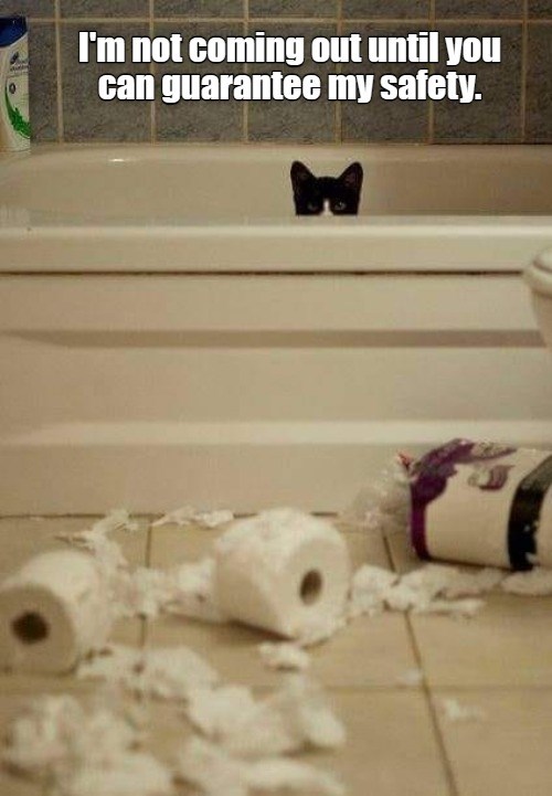 Agree? - Lolcats - lol | cat memes | funny cats | funny cat pictures ...