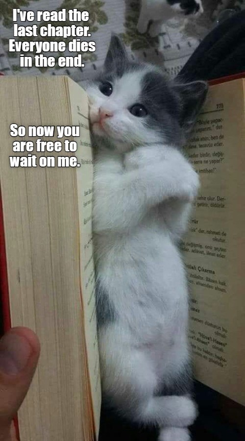 Spoiler Alert - Lolcats - lol | cat memes | funny cats | funny cat ...