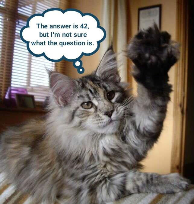 Mice, the UniFURse, & EFURything - Lolcats - lol | cat memes | funny ...