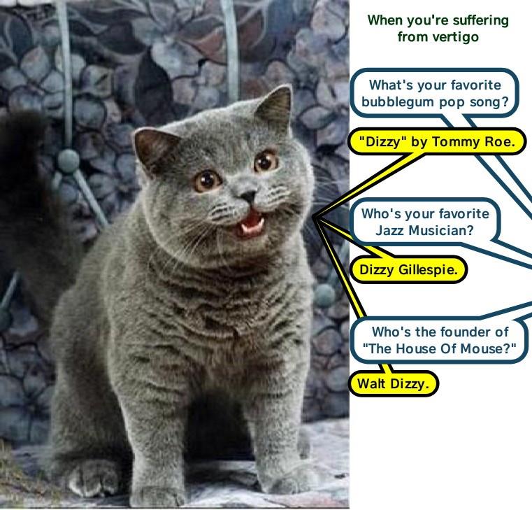 Verti-gonzo - Lolcats - lol | cat memes | funny cats | funny cat ...