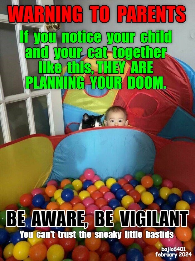 Double trouble - Lolcats - lol | cat memes | funny cats | funny cat ...