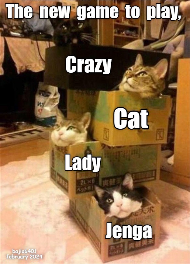 Let's play. - Lolcats - lol | cat memes | funny cats | funny cat ...