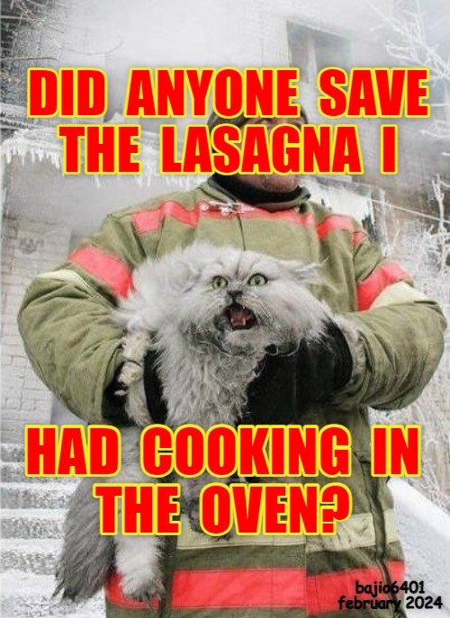 Food is first priority - Lolcats - lol | cat memes | funny cats | funny ...