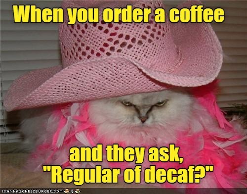 Decaf? - Lolcats - lol | cat memes | funny cats | funny cat pictures ...