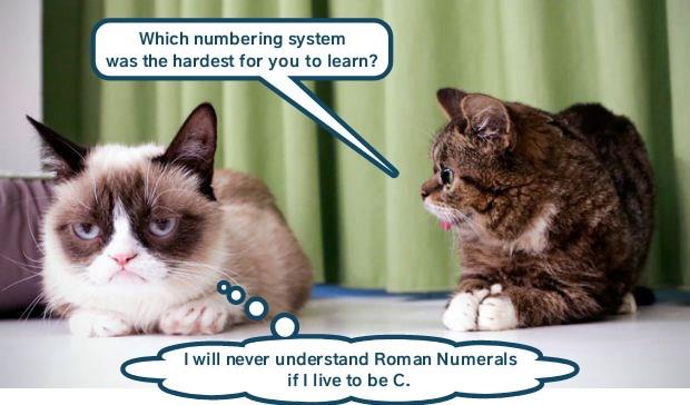GrumpyCat sticks to decimals - Lolcats - lol | cat memes | funny cats ...