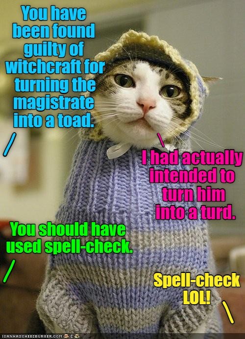 Spell check - Lolcats - lol | cat memes | funny cats | funny cat ...