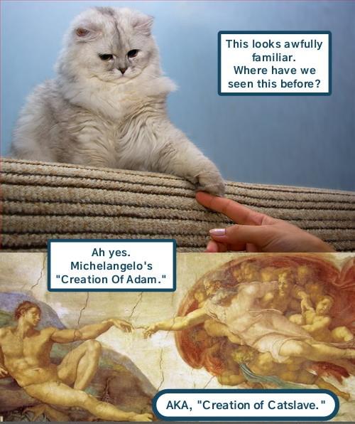 Michelangelo's... - Lolcats - lol | cat memes | funny cats | funny cat ...