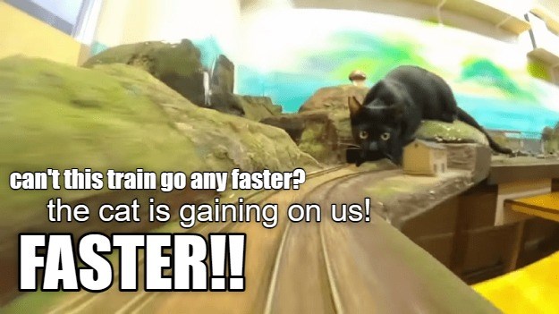 FASTER! - Lolcats - lol | cat memes | funny cats | funny cat pictures ...