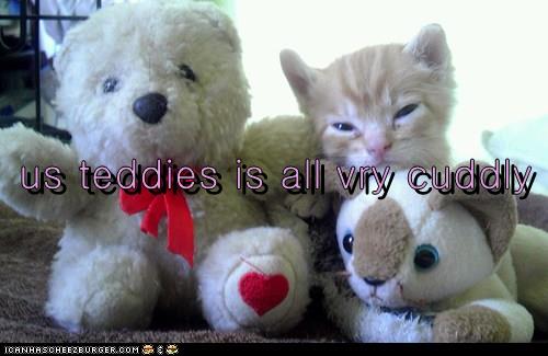 Cuddly - Lolcats - lol | cat memes | funny cats | funny cat pictures ...