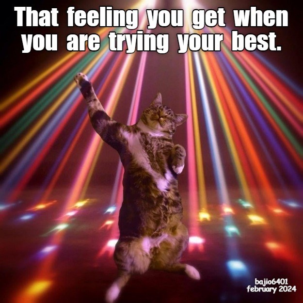 Doin' your best - Lolcats - lol | cat memes | funny cats | funny cat ...