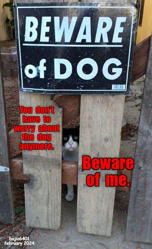 Beware of me - Lolcats - lol | cat memes | funny cats | funny cat ...