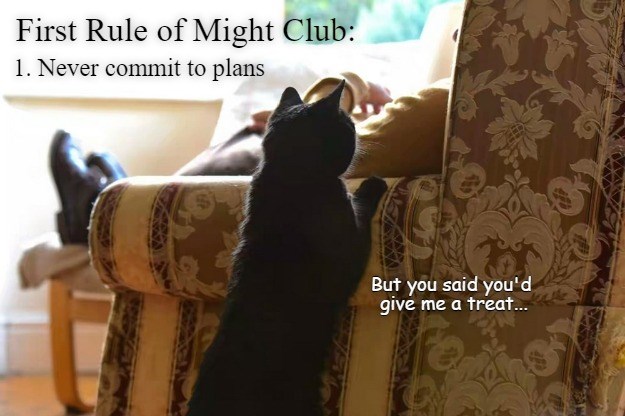 Rules - Lolcats - lol | cat memes | funny cats | funny cat pictures ...