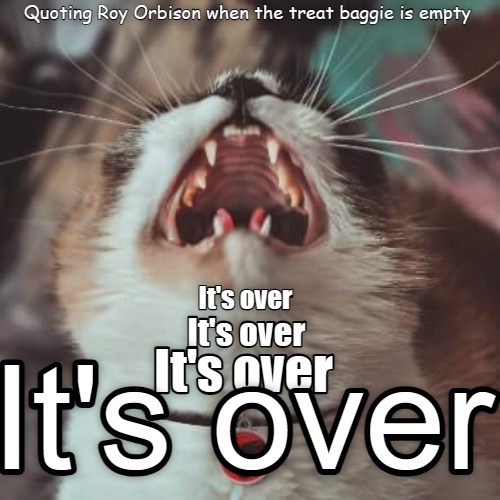 It's over - Lolcats - lol | cat memes | funny cats | funny cat pictures ...
