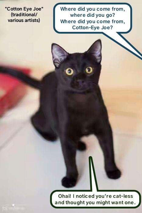 "Cotton Eye Joe" (traditional/ various artists) - Lolcats - lol | cat ...