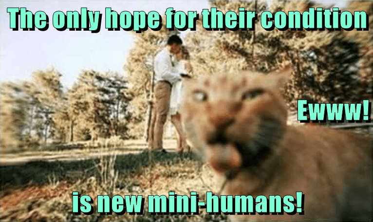 Eww - Lolcats - lol | cat memes | funny cats | funny cat pictures with ...