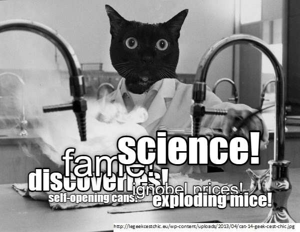 all the exciting stuff! - Lolcats - lol | cat memes | funny cats ...