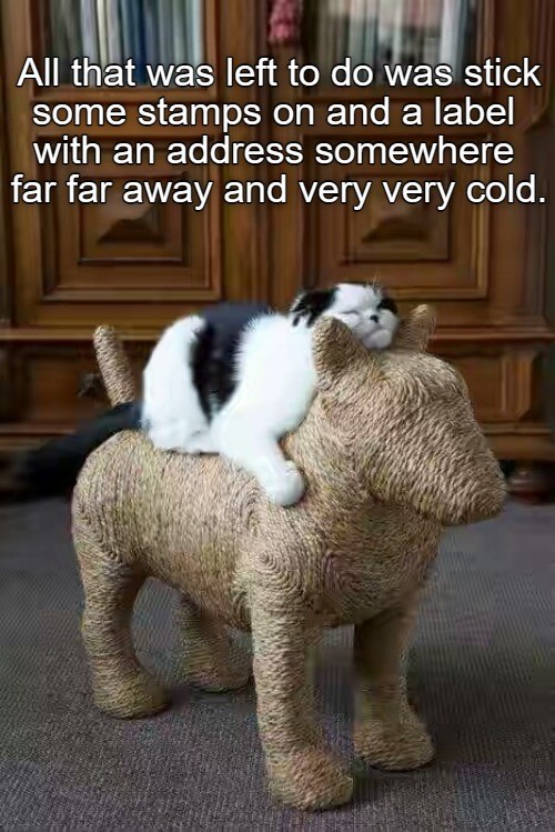 The dog is going on vacation! - Lolcats - lol | cat memes | funny cats ...