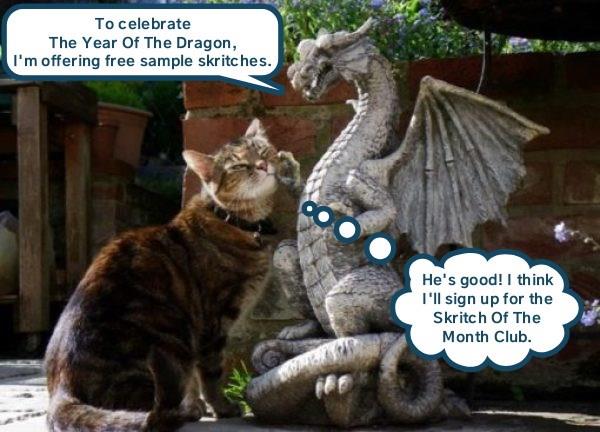 Cat + Year Of The Dragon = - Lolcats - lol | cat memes | funny cats ...